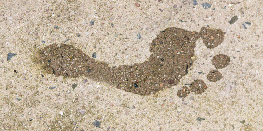 Fitting-At-Home Guide | CURREX Insoles